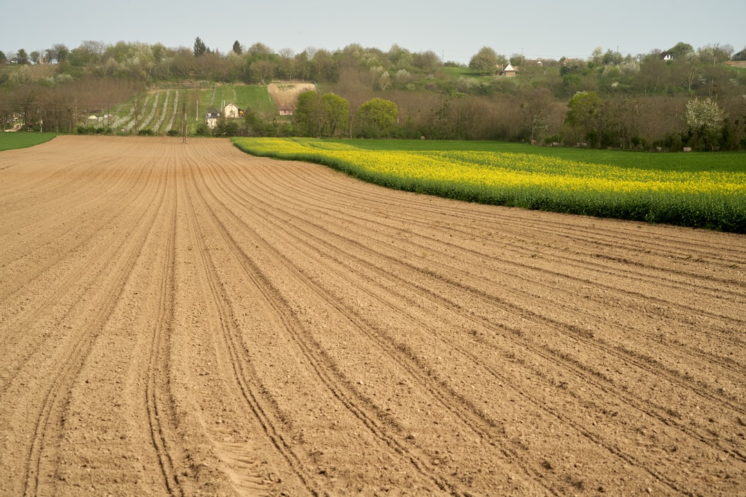 Canadian Agricultural Drought Recovery 2026: Maritime Farmers Face ...