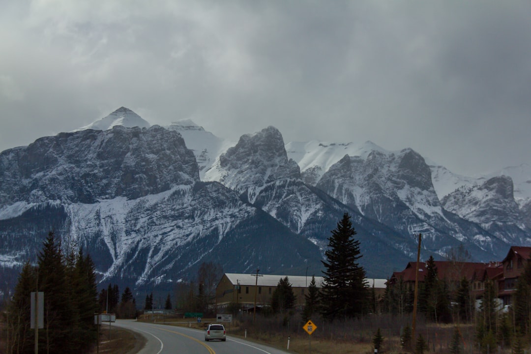 Grizzly Bear Sightings Surge in Kananaskis: What Hikers Need to Know ...