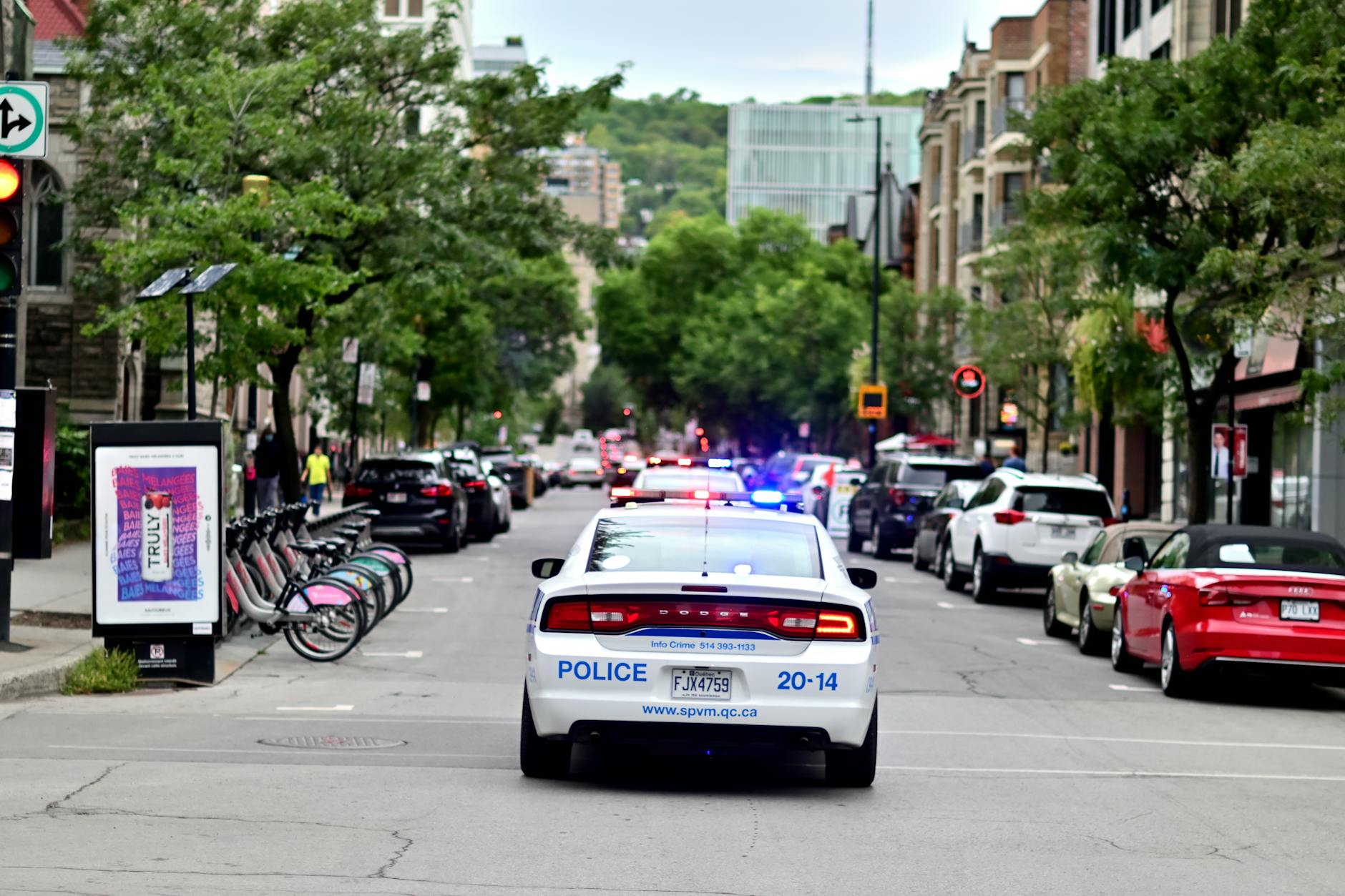 GTA Public Safety Crisis: Fatal Rexdale Shooting and Highway 401 Racing ...