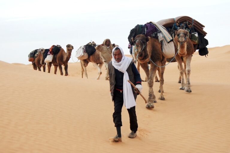 Tunisia's 2026 Renewable Energy Crisis: Why Foreign Investment is ...
